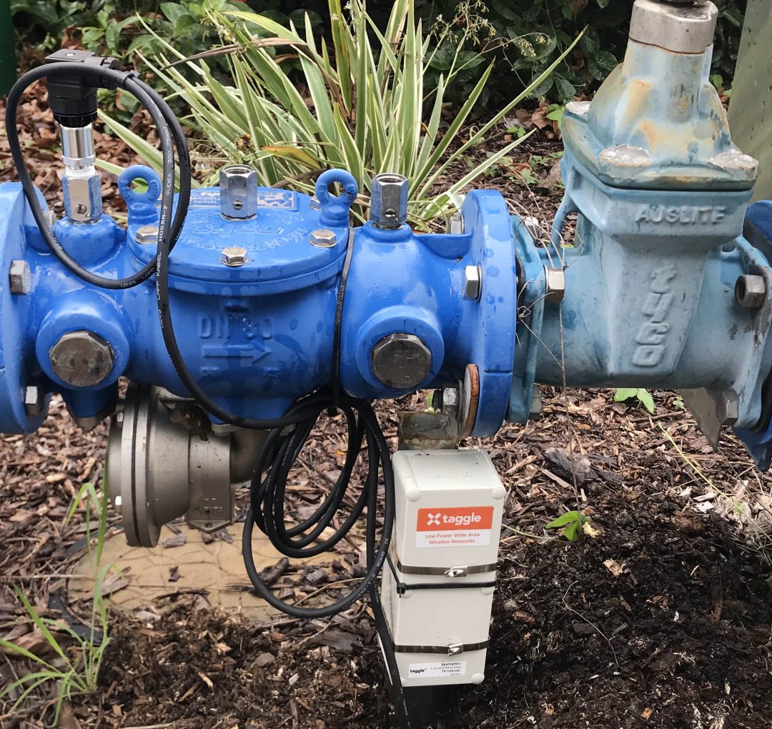 Taggle Telemetry Devices for Smart Water Networks