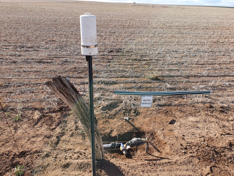 Taggle Systems - About Taggle