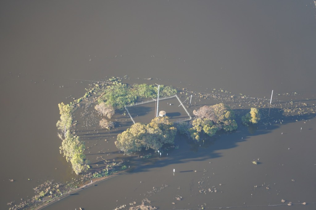 Managing water in an emergency - Taggle