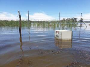 Managing water in an emergency - Taggle